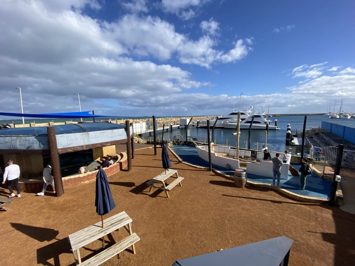 Ultimate Guide To Perth Aquarium (AQWA) - Don't Miss Out!