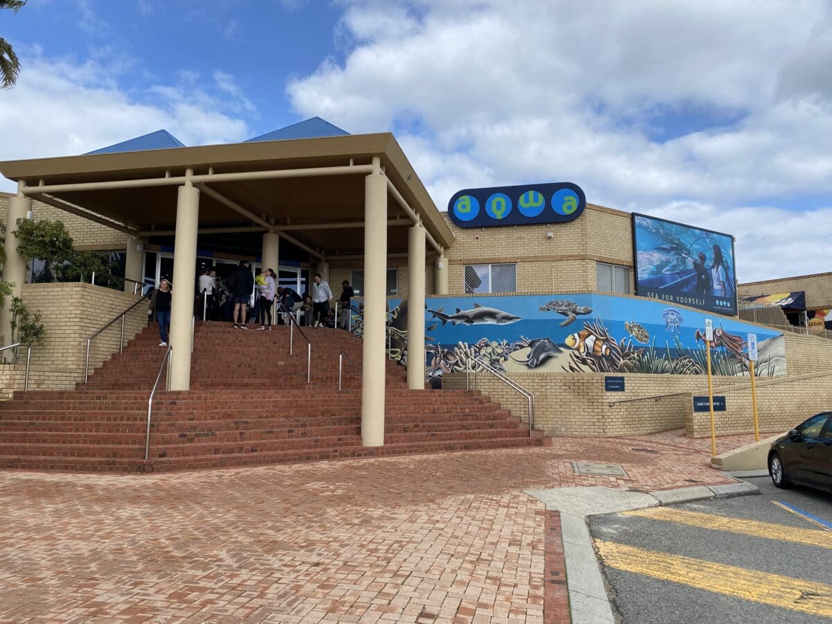 Ultimate Guide To Perth Aquarium (AQWA) - Don't Miss Out!