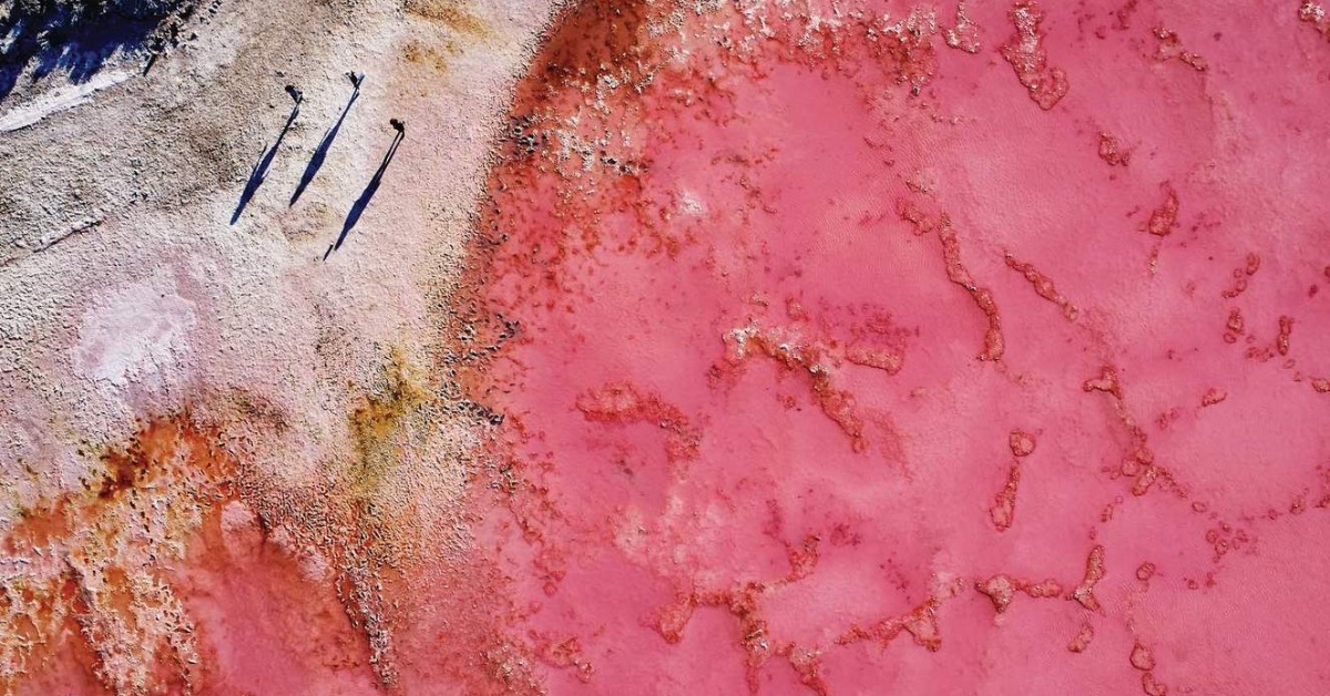 Pink Lakes of Western Australia | 2024 Discovery Guide