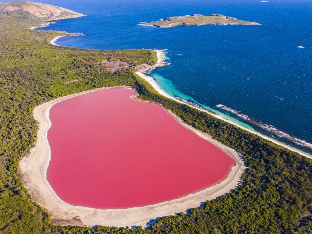 Lake Hillier Western Australia - Essential Travel Guide 2025 Lake Hillier Western Australia - Essential Travel Guide 2025