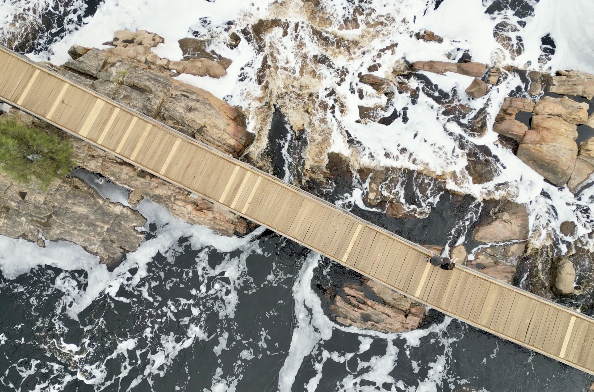 Explore Bells Rapids | A Full Guide