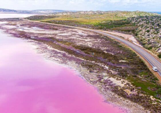 Pink Lakes of Western Australia | 2024 Discovery Guide