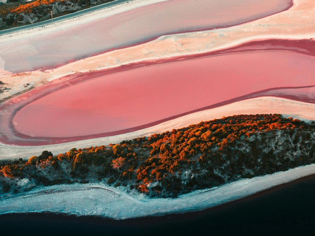 Pink Lakes of Western Australia | 2024 Discovery Guide